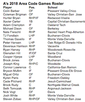 Crack The Code: Inside Look At Area Code Baseball - SportStars Magazine