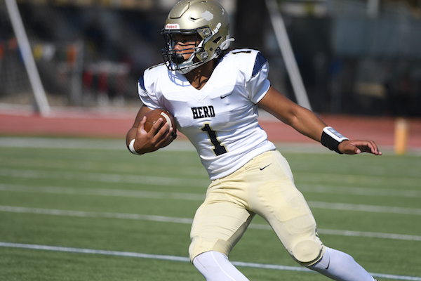 Elk Grove Football: Carter Harris Has Herd Thundering - SportStars Magazine