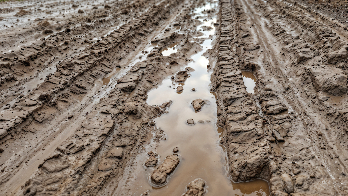 Top Tips for Navigating the Mud on a Cross Country Course - SportStars ...